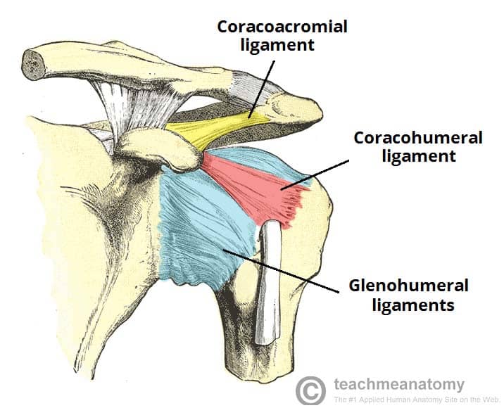 Shoulder Dislocation Reduction Immobilisation
